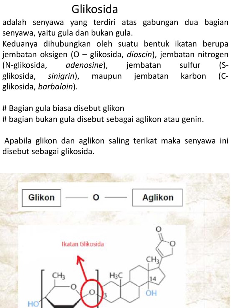 GLIKOSIDA | PDF