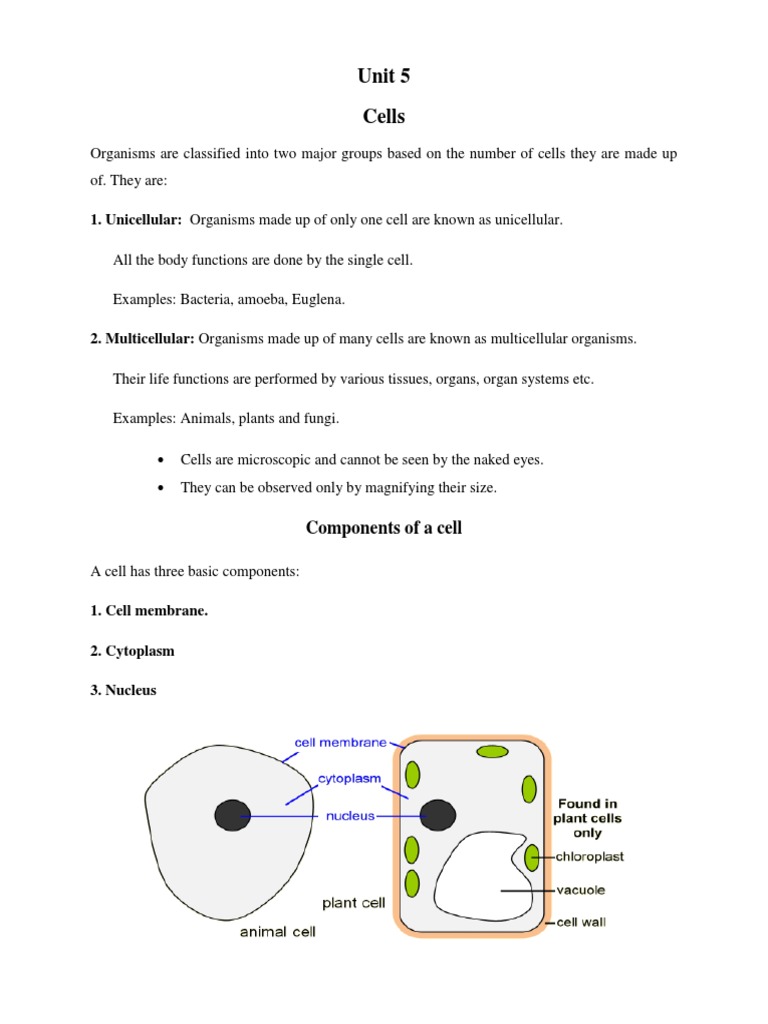 Unit 5 Cells: 1. Unicellular: Organisms Made Up of Only One Cell Are ...