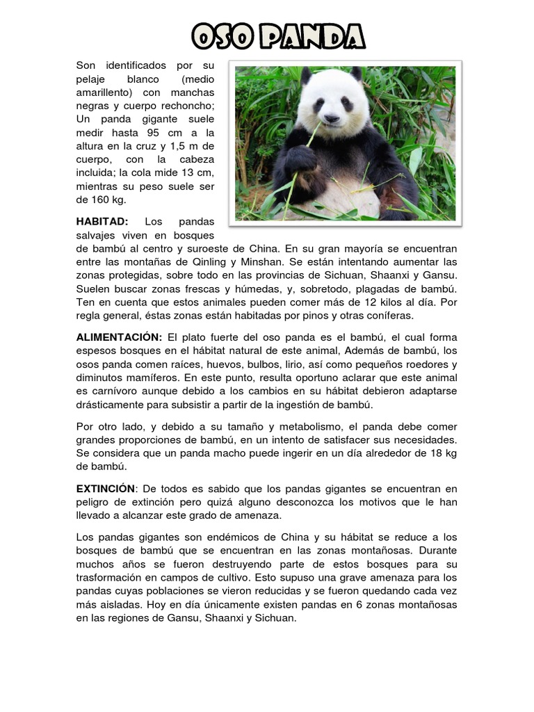 Oso Panda | PDF