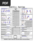 Tablas RULA | PDF | Factores humanos y ergonomía | Science