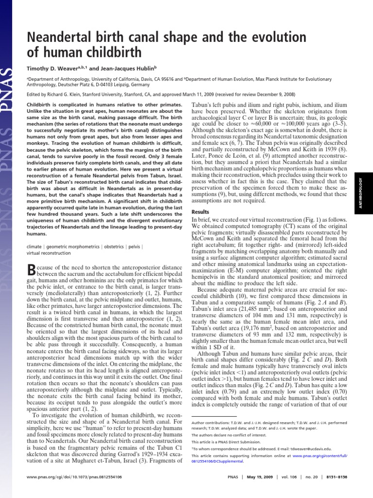 Neandertal Birth Canal Evolution Insights | PDF | Pelvis | Neanderthal