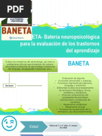 Baneta Manual | PDF