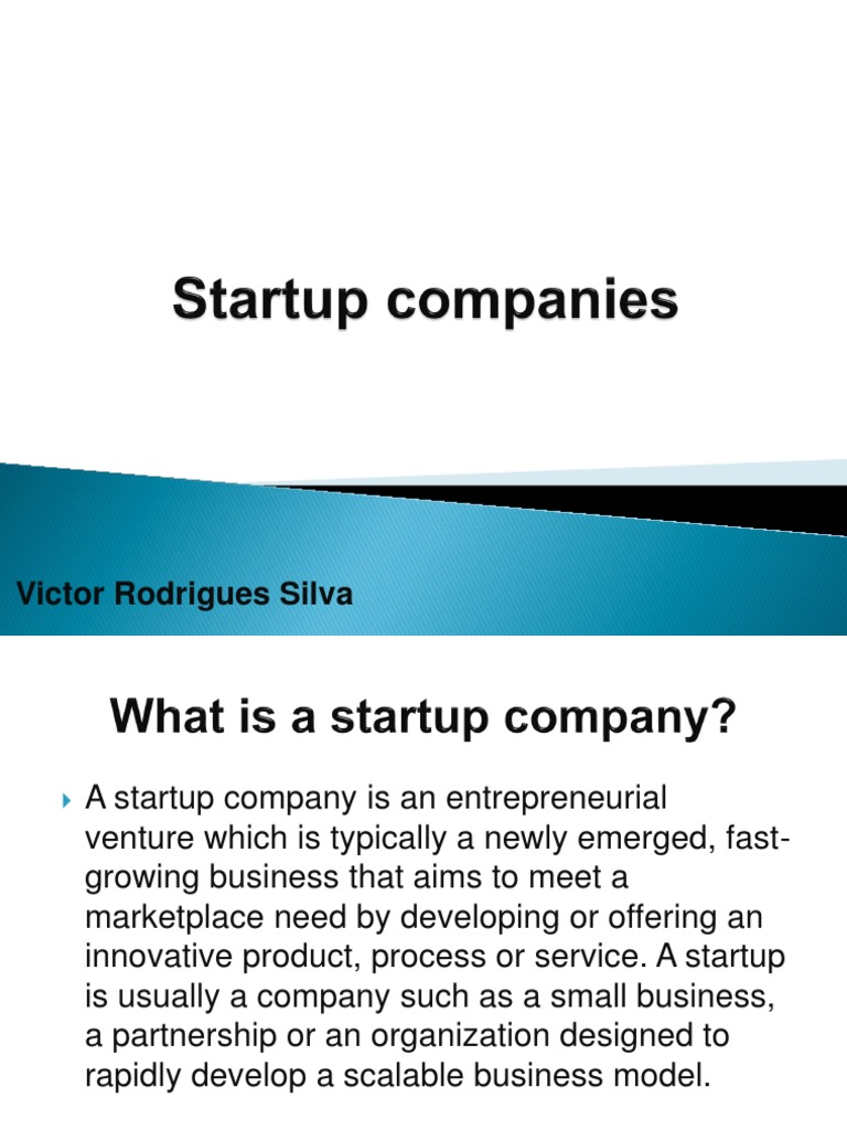 Startup Essentials and Funding Insights | PDF | Startup Company | Small ...