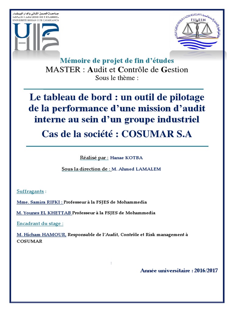 Rapport Final (PFE) | PDF | Audit interne | Audit