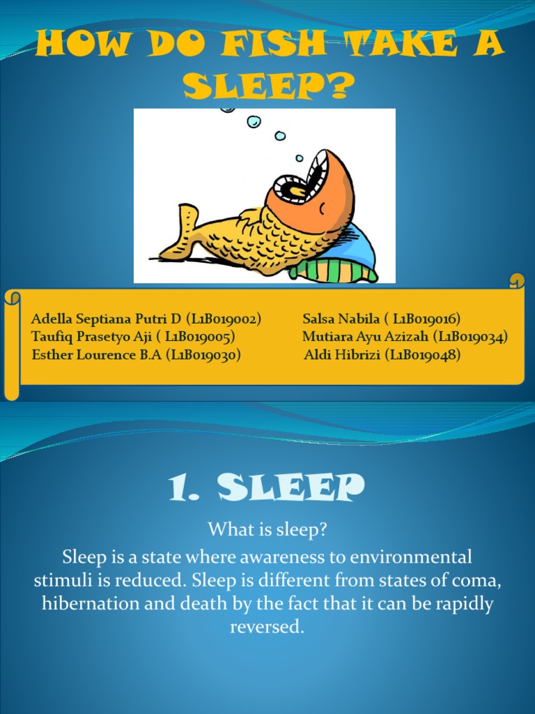 How Do Fish Take A Sleep | PDF