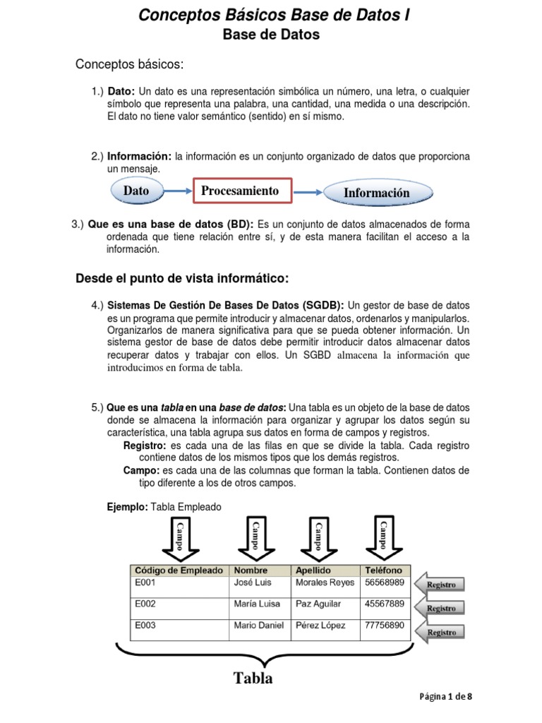Introduccion Base de Datos | PDF | Byte | Bases de datos