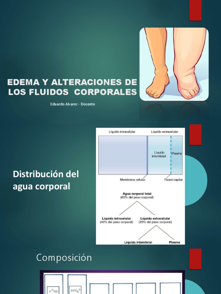 Edema y Alteraciones de Líquidos Corporales | PDF | Edema ...