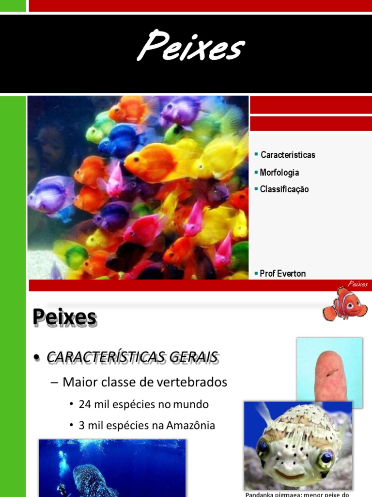 Aula Peixes | Download grátis PDF | Peixes | Brânquia