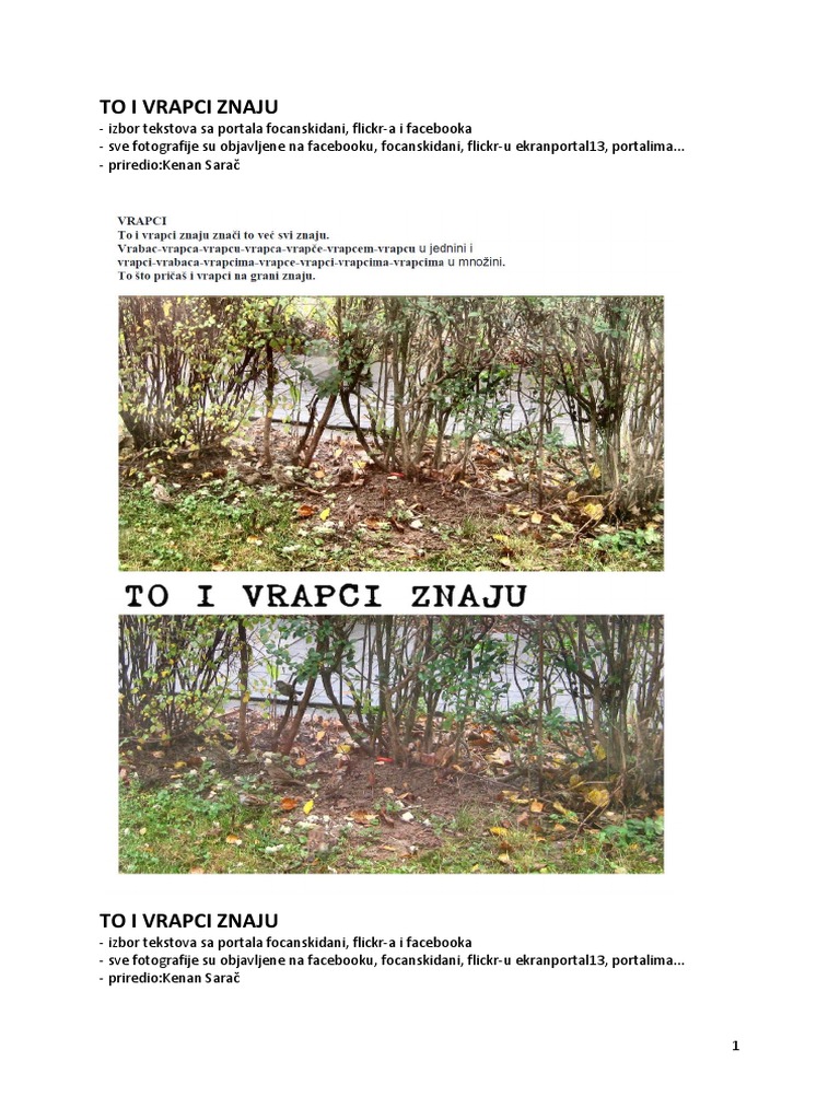To I Vrapci Znaju | PDF