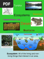 Aquatic Ecosystems & Biomes Worksheet | PDF | Aquatic Ecosystem | Ecosystem