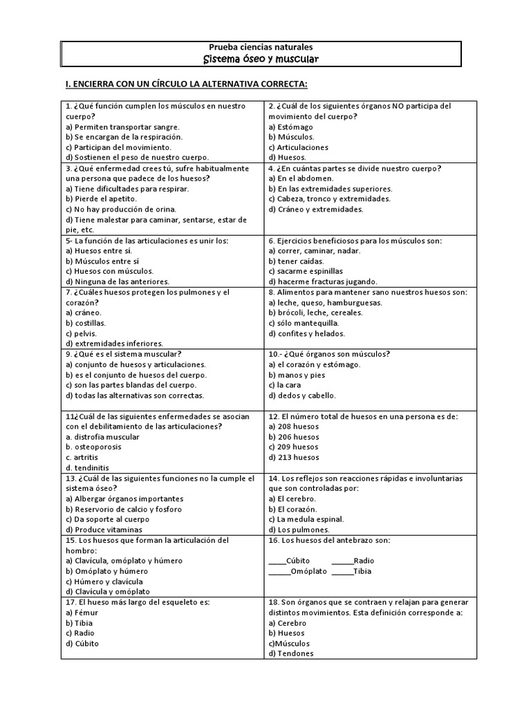 Prueba Ciencias Naturales Sistema Oseo Muscular | PDF | Hueso | Sistema ...