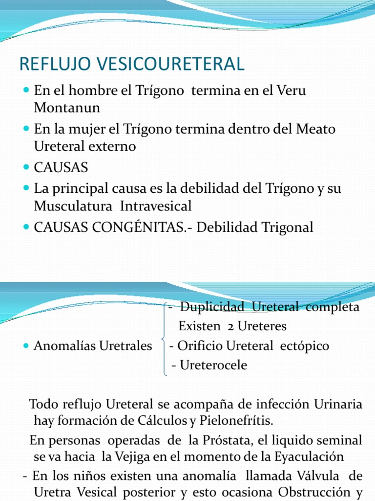 Reflujo Vesicoureteral | PDF | Riñón | Urología