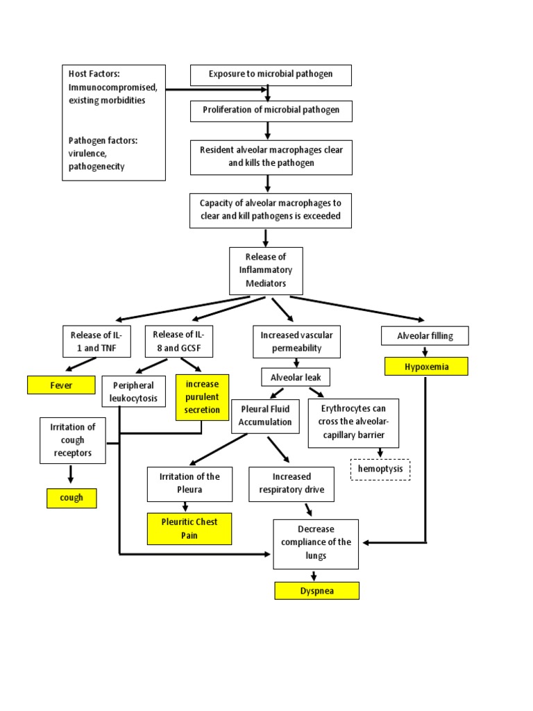 Parapneumonic Effusion