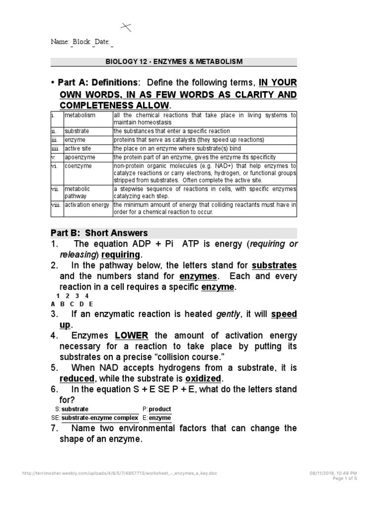 Biology 12 - Enzymes & Metabolism | PDF | Active Site | Enzyme