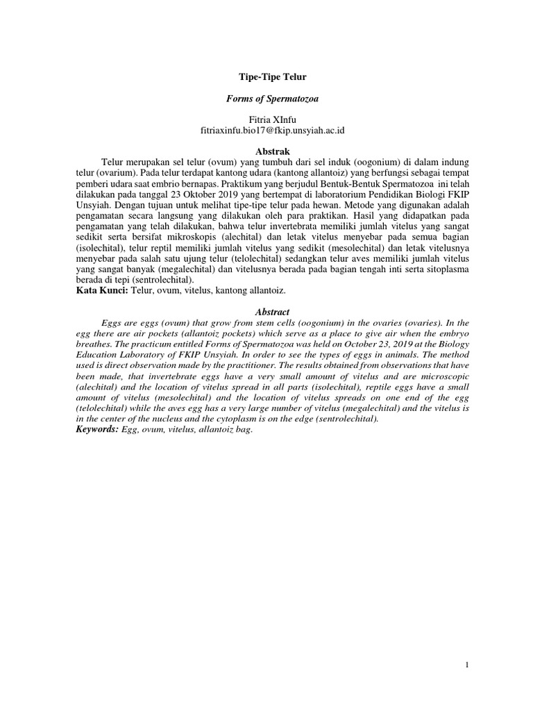 Tipe Tipe Telur | PDF