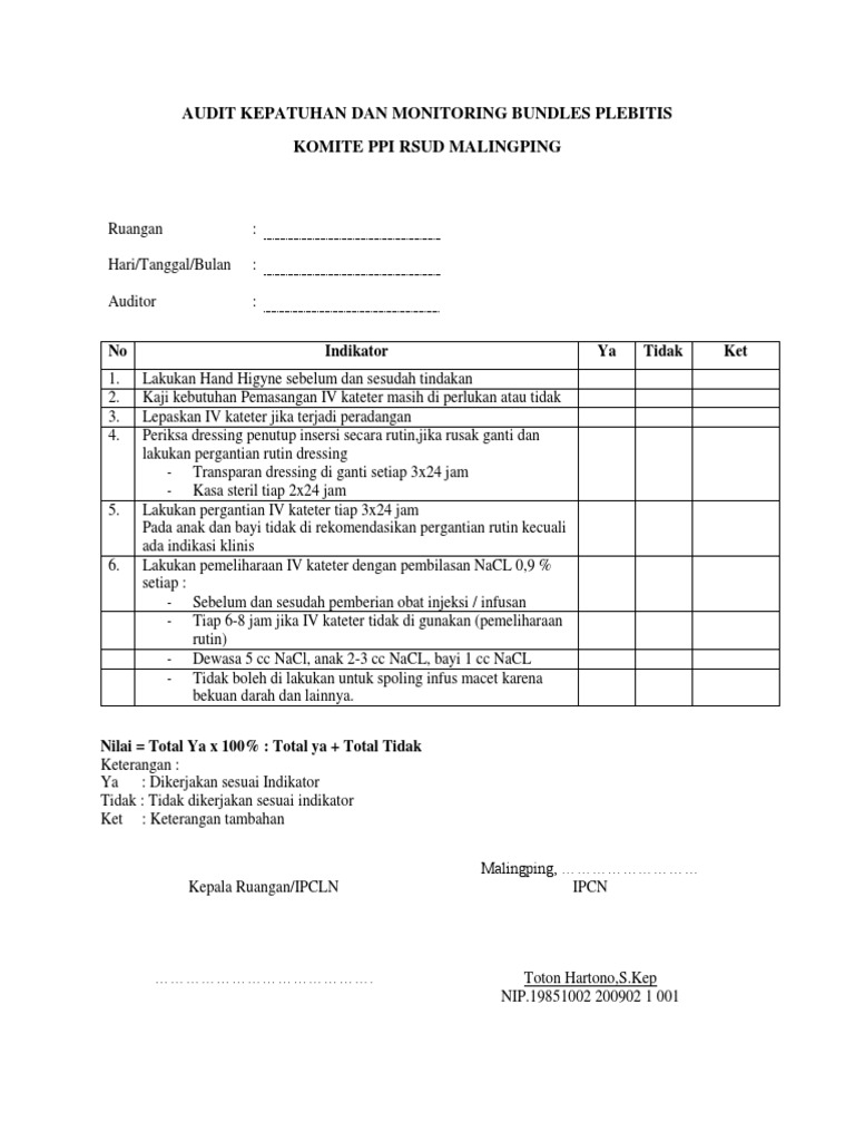 Form Audit Bundle Ppi | PDF