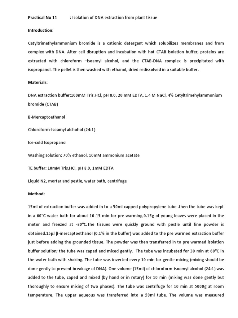 Isolation of DNA Extraction From Plant Tissue | PDF ...