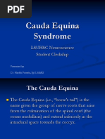 National Pathway for Cauda Equina Syndrome | PDF | Magnetic Resonance ...