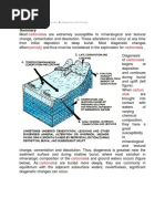 Lithologic Patterns | PDF | Rocks | Rock (Geology)