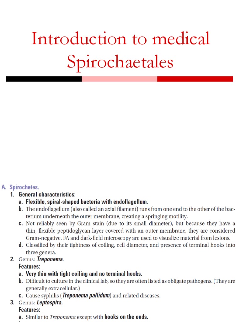 Medical Spirochetes Overview | PDF | Lyme Disease | Microbiology