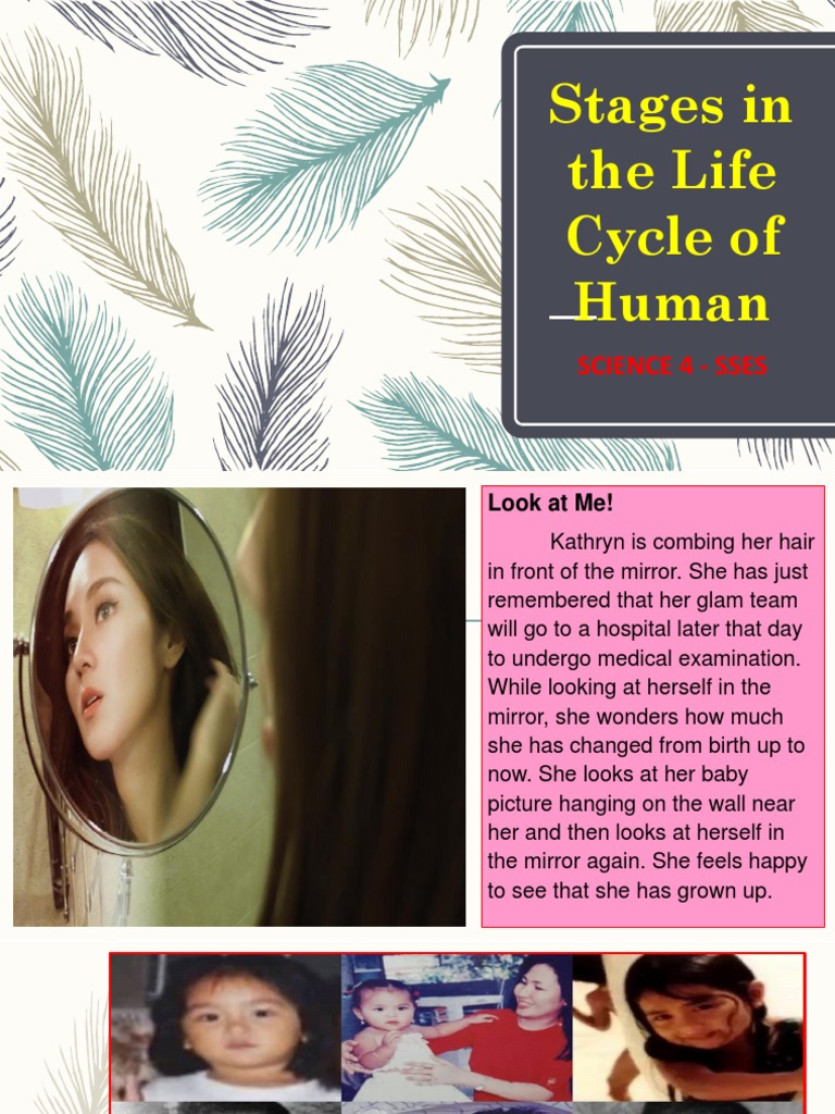 Stages in The Life Cycle of Human SCIENCE 4 SSES | PDF