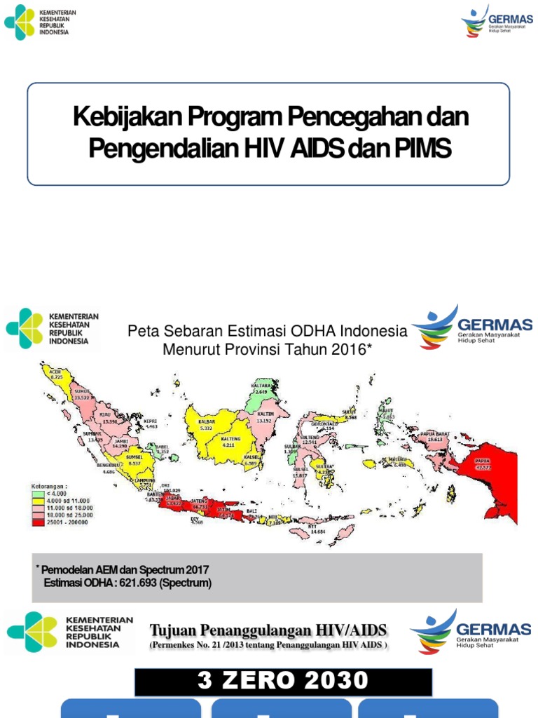 Program HIV Aids Dan PIMS | PDF
