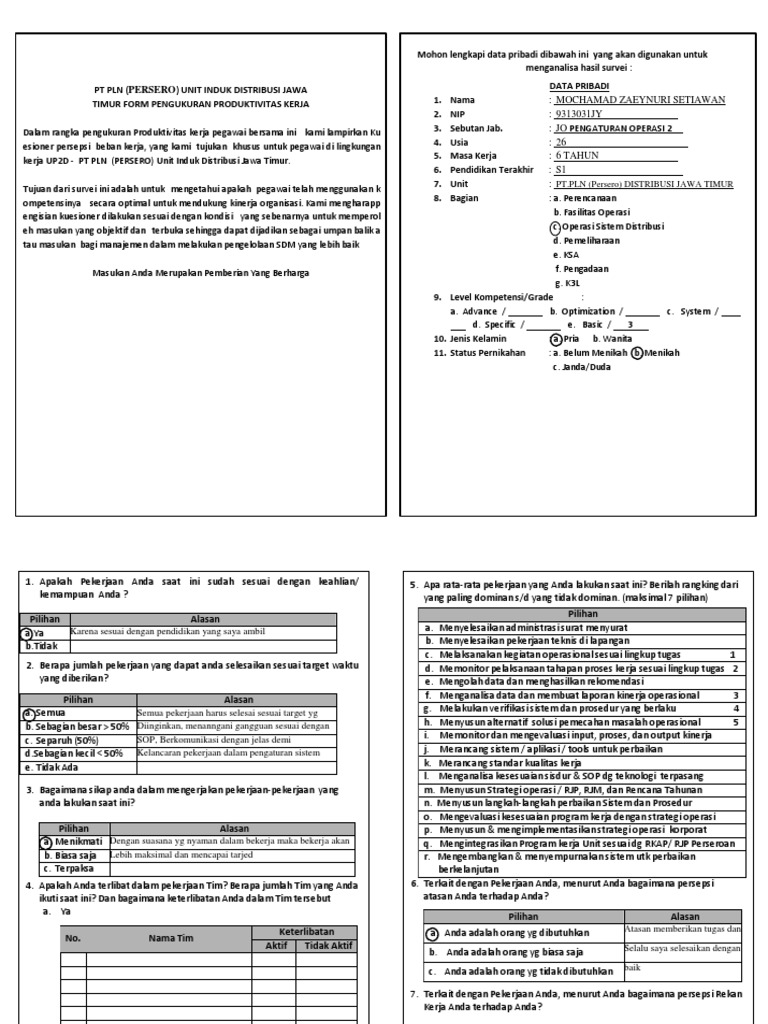 Kuesioner Produktivitas Kerja PLN Jatim | PDF | Karier & Perkembangan
