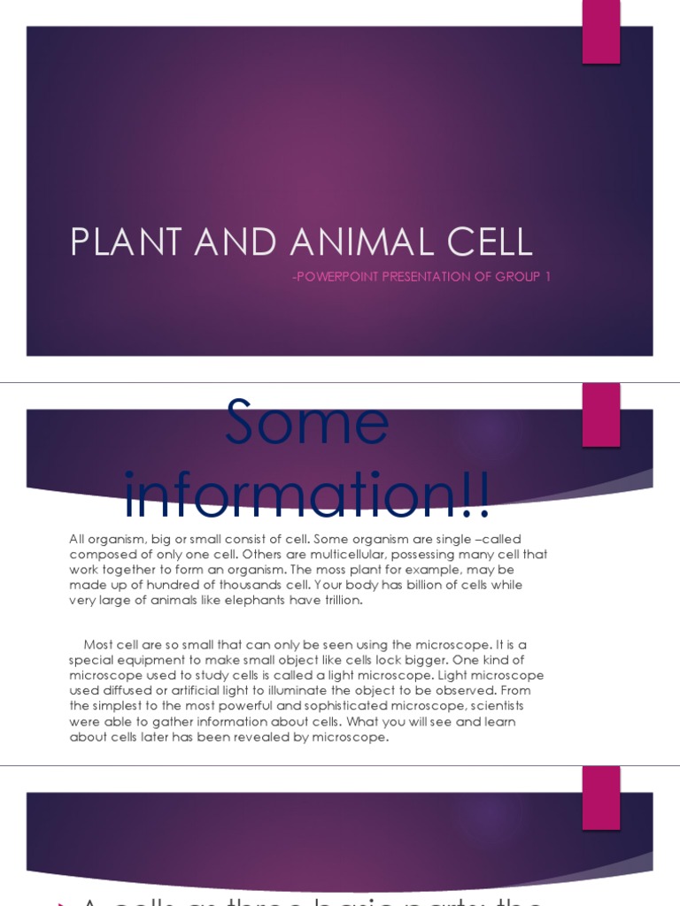Plant and Animal Cell: - Powerpoint Presentation of Group 1 | PDF ...
