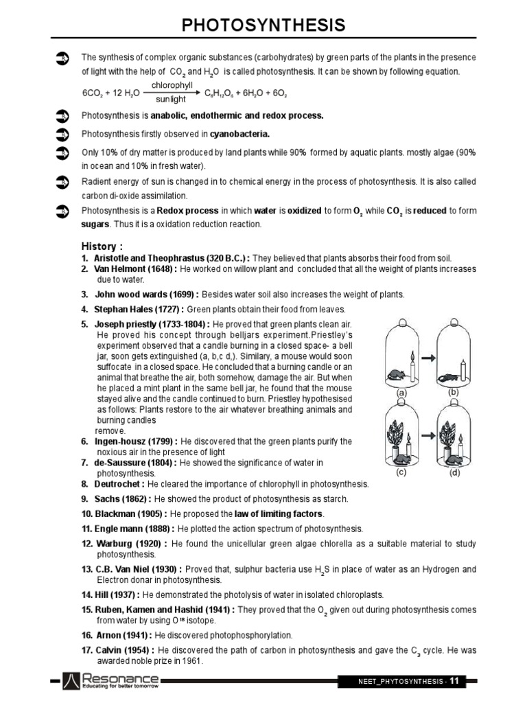 Photosynthesis Overview and History | PDF | Photosynthesis | Chlorophyll