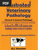 Swine Blood Collection Guide | PDF | Vein | Syringe