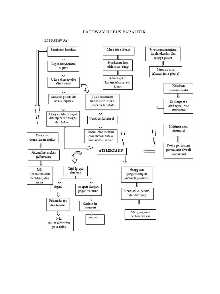 Pathway Illeus Paralitik