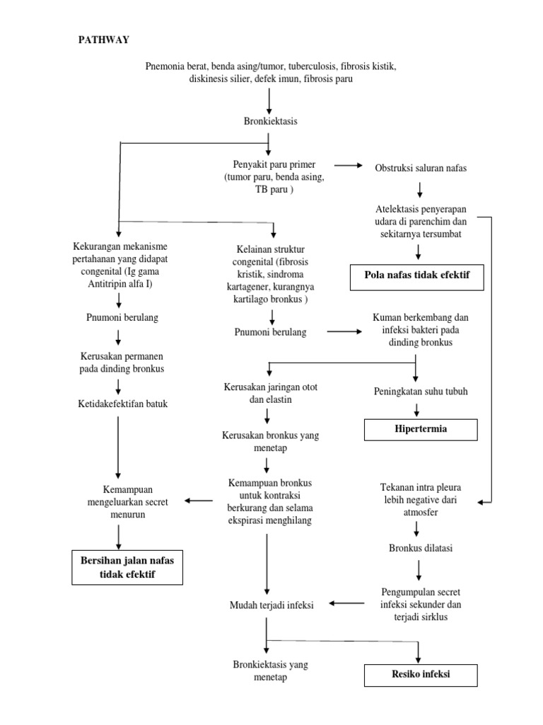 Pathway Bronkiektasis | PDF