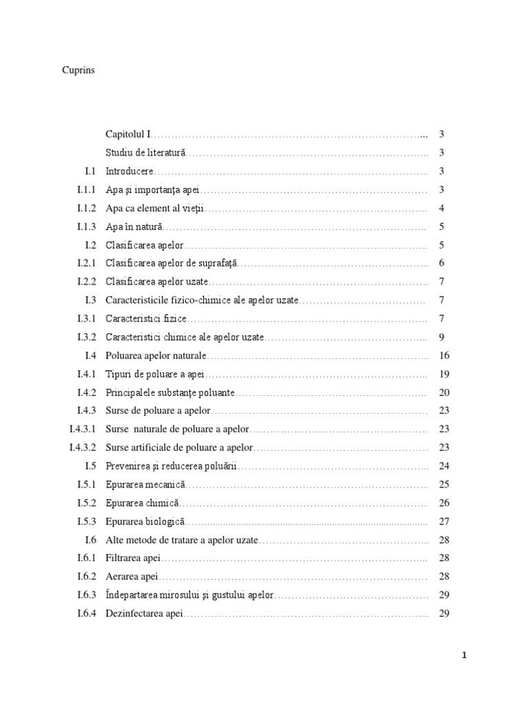 PROIECT Diploma Luiza Final | PDF