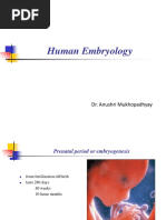 Pathophysiology of NSD | PDF
