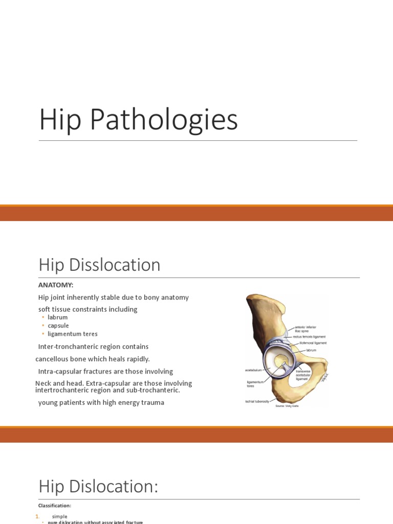 Hip Pathologies | PDF | Hip | Clinical Medicine