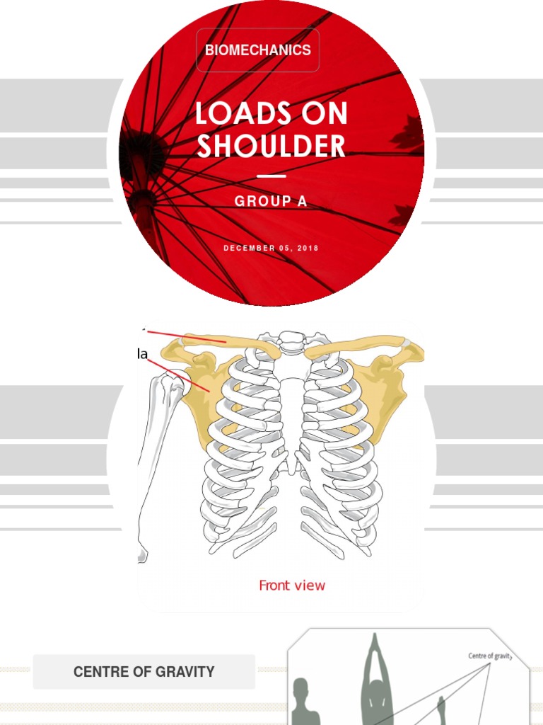 Loads On Shoulder | PDF | Torque | Shoulder
