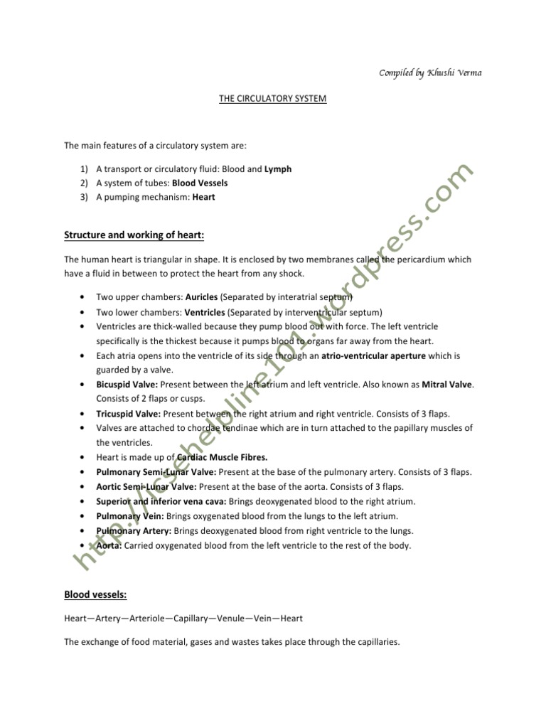 ICSE Class 10 Circulatory System Notes | PDF | Heart Valve | Ventricle ...