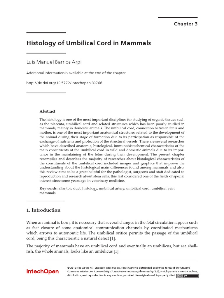 Histology of Umbilical Cord in Mammals | PDF | Artery | Fetus