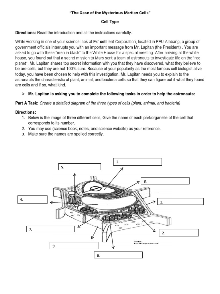 "The Case of The Mysterious Martian Cells" Cell Type Directions: Read ...