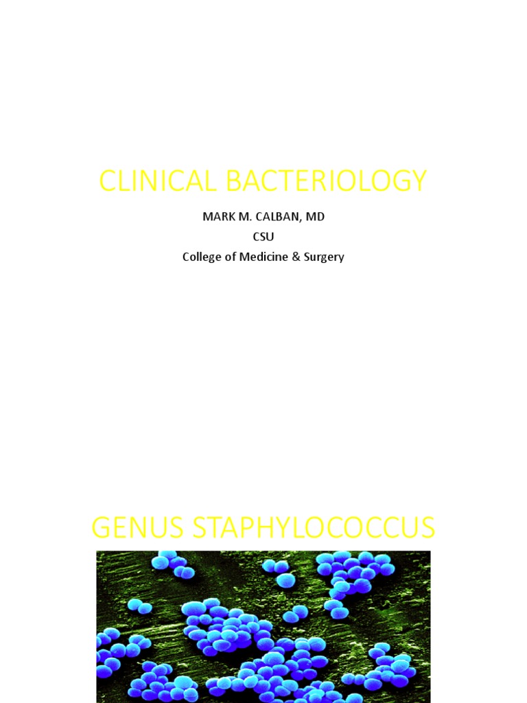 Clinical Bacteriology: Mark M. Calban, MD CSU College of Medicine ...