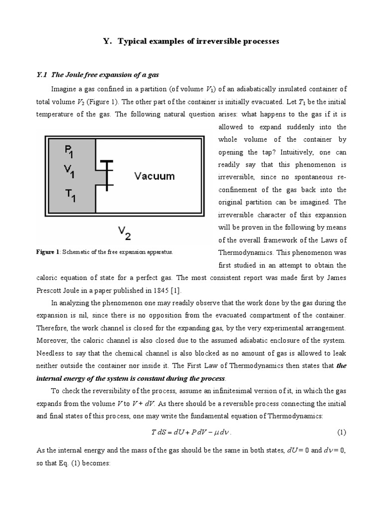 Y. Typical Examples of Irreversible Processes: Y.1 The Joule Free ...