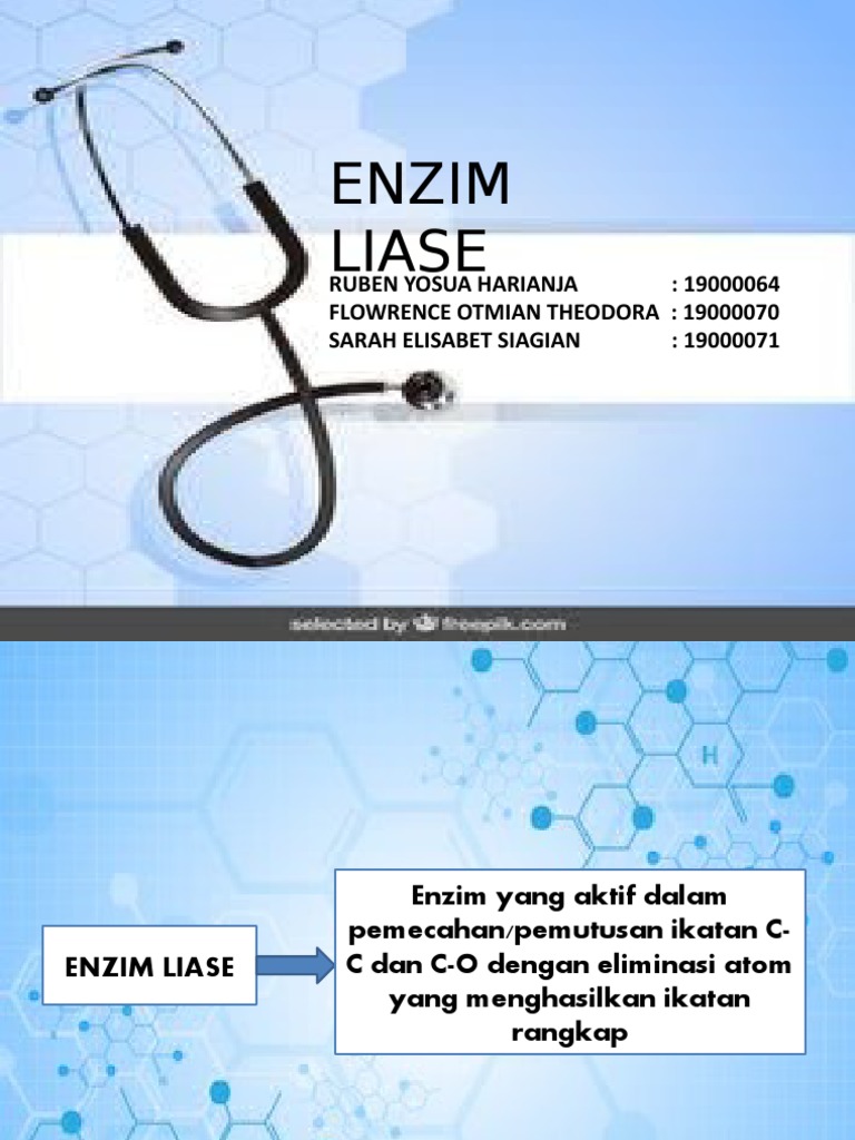 Enzim Liase-1 | PDF