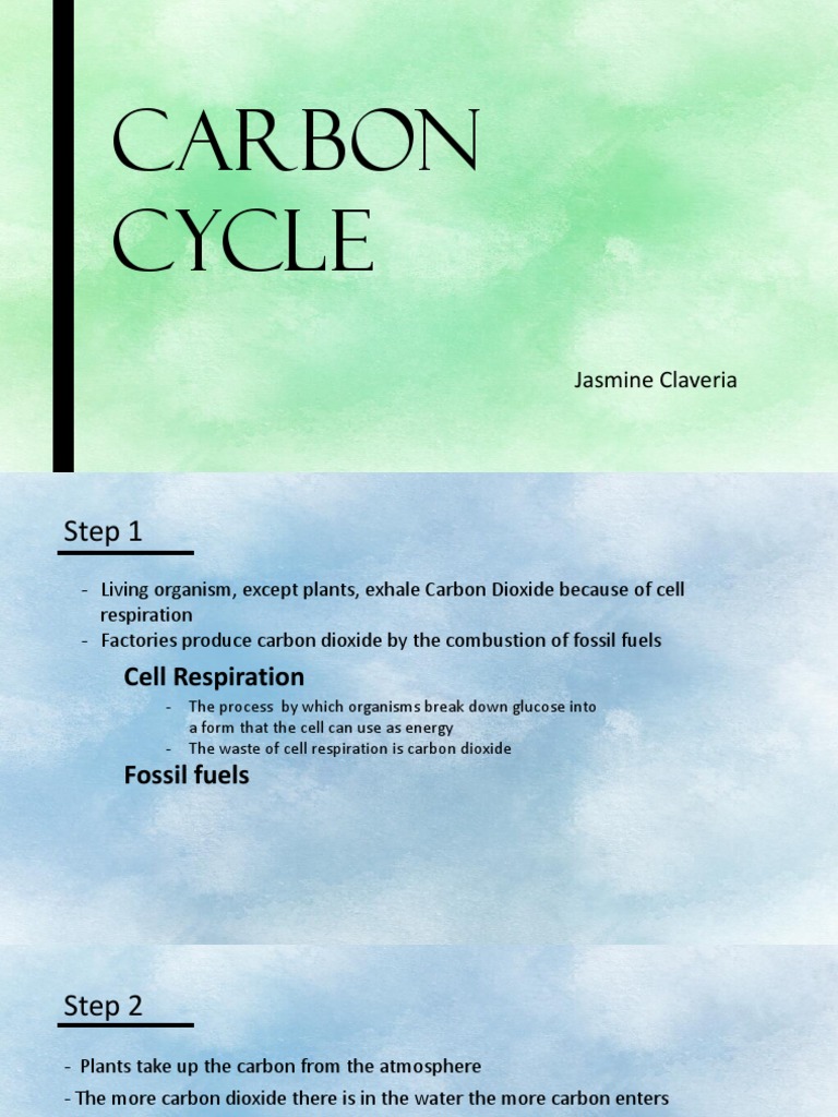 Carbon Cycle: Jasmine Claveria | PDF