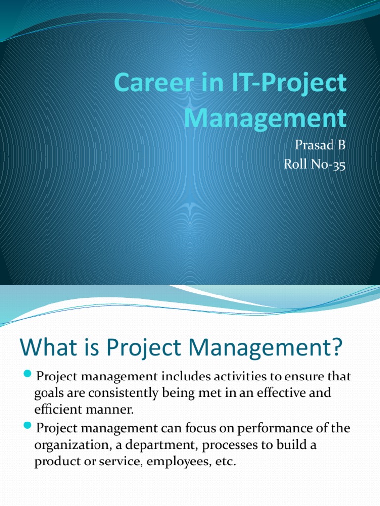 Career in IT-Project Management | PDF | Business | Goal