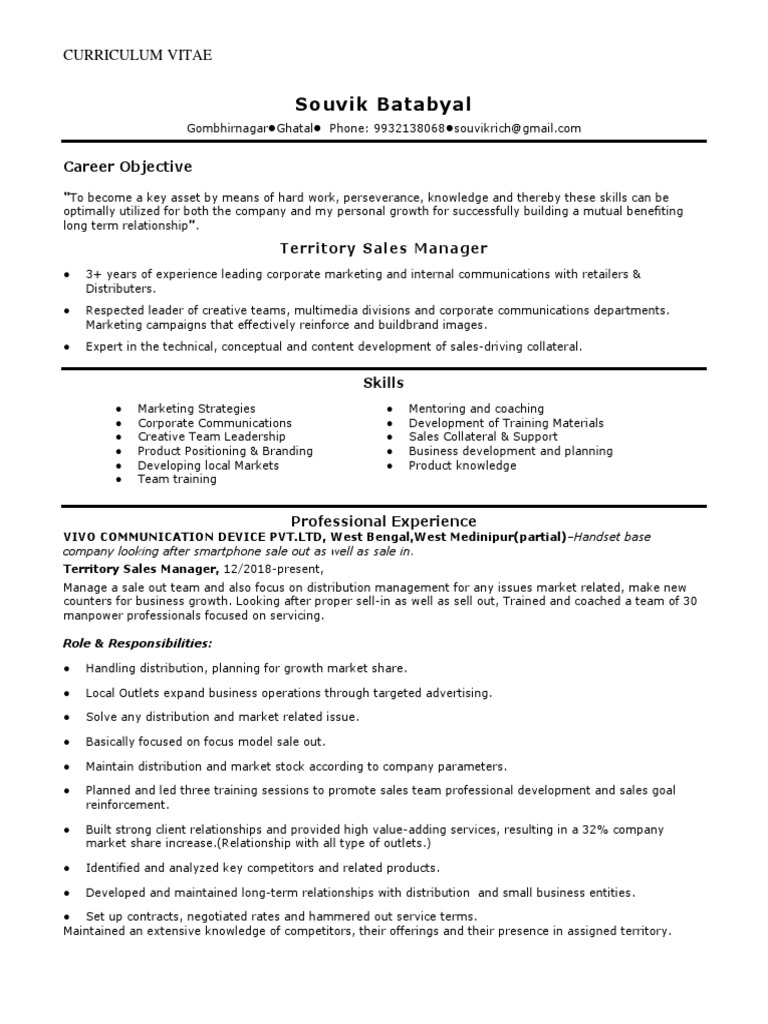 Souvik Batabyal: Curriculum Vitae | Download Free PDF | Sales | Business