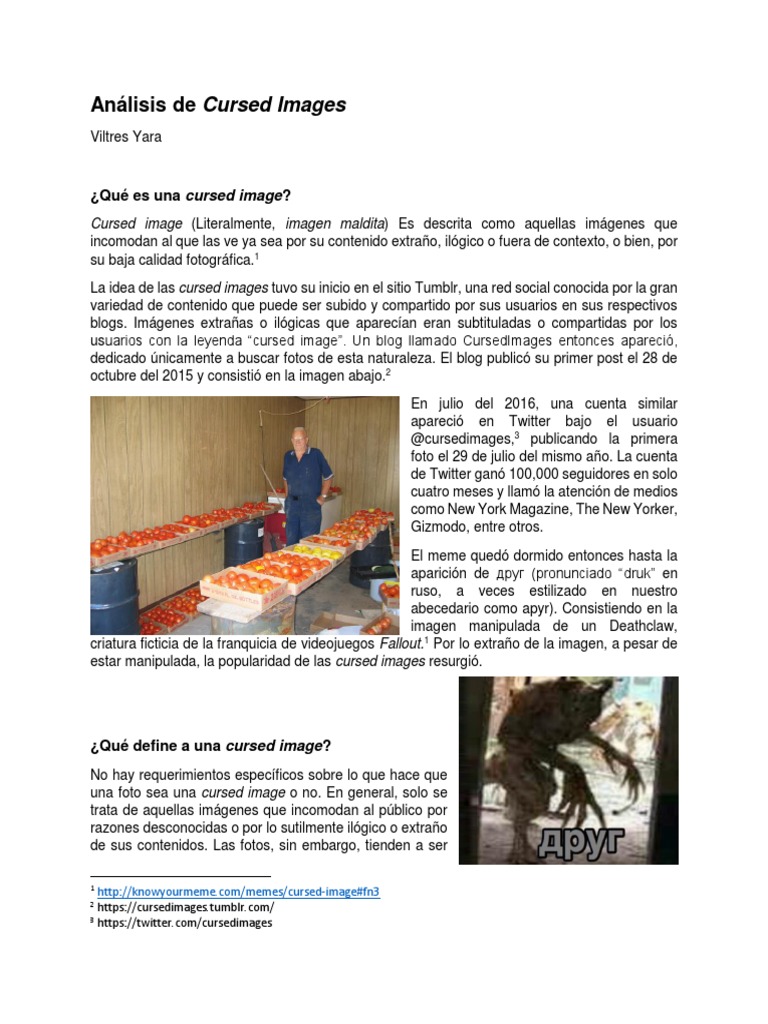 Análisis de Cursed Images y su Significado | PDF | Carné de identidad ...