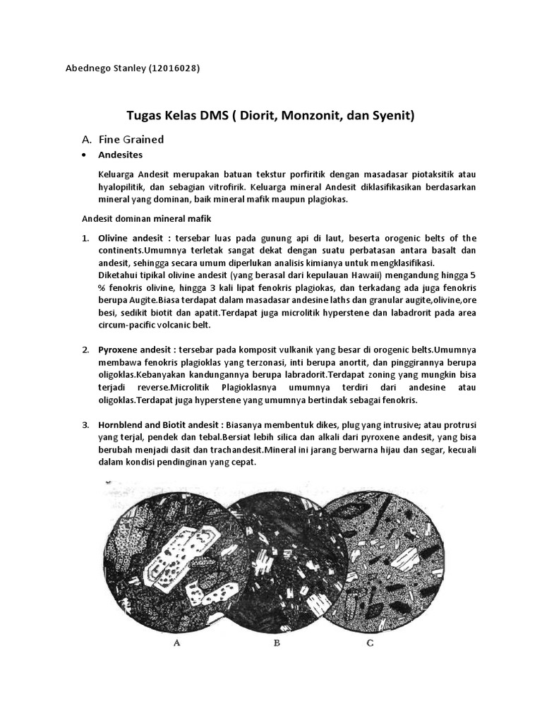 Jenis Batuan: Diorit, Monzonit, Syenit | PDF