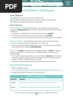 Enzyme Review Sheet Answers | PDF