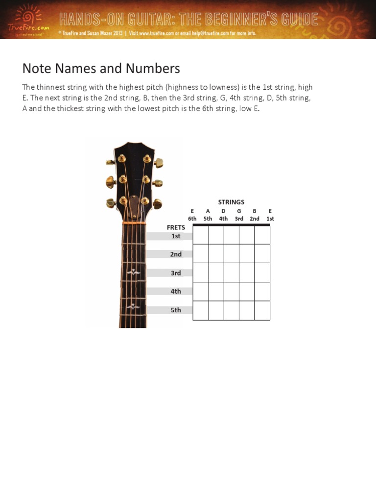 Note Names and Numbers: Strings | PDF