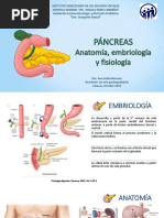 Estructura y Función del Páncreas | PDF | Páncreas | Morfología (biología)